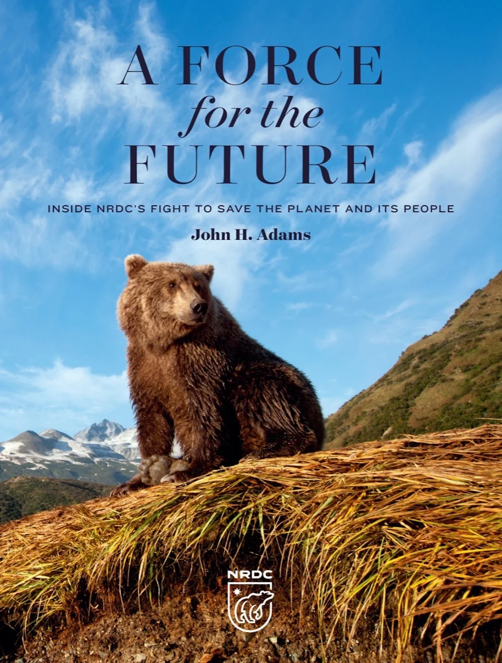 A Force for the Future – Abbeville